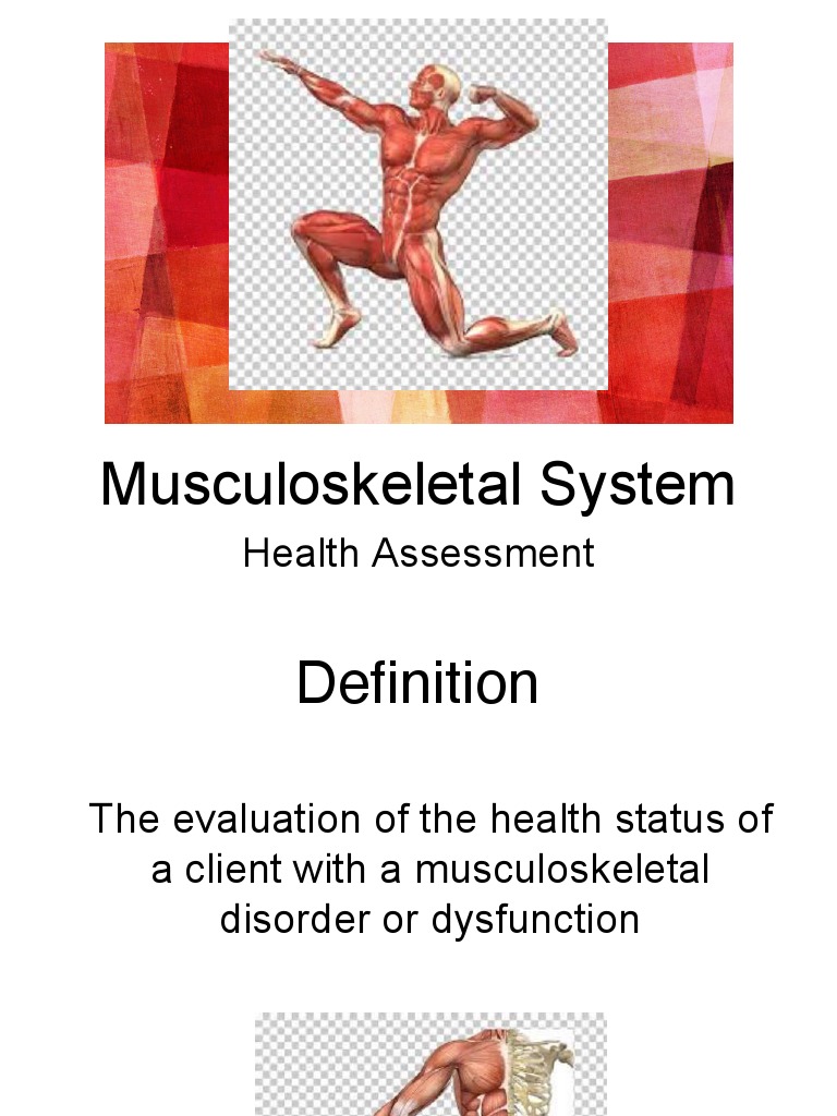 Musculoskeletal System Health Assessment | PDF | Anatomical Terms Of ...