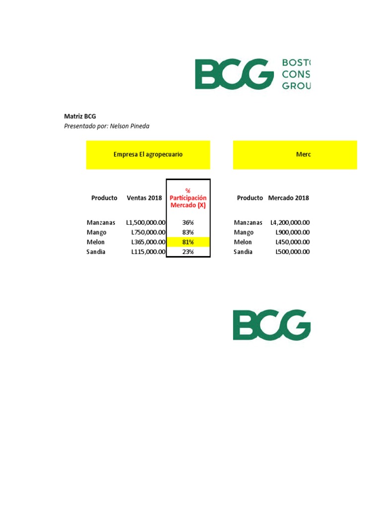 2 Ejemplo Matriz BCG | PDF