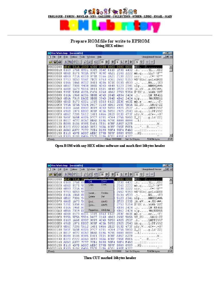 Prepare ROM File For Write To EPROM: Using HEX Editor | PDF