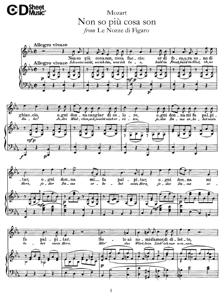 Non So Piu Cosa Son Mozart | PDF