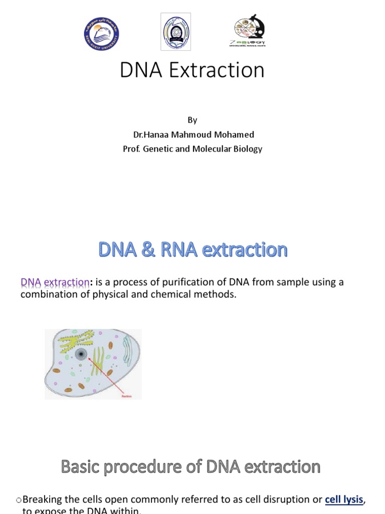 DNA Extraction and PCR Techniques | PDF | Polymerase Chain Reaction ...