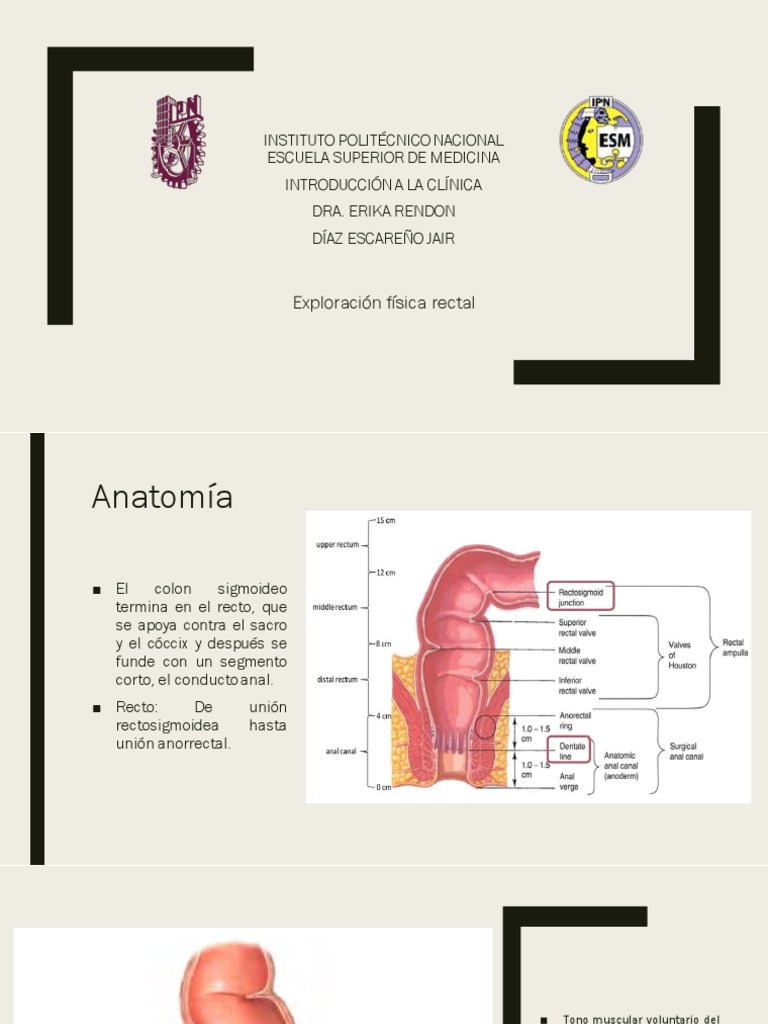 Exploración Rectal | PDF | Recto | Heces