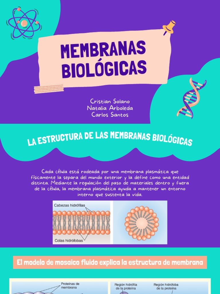 Membranas Biologicas | PDF | Membrana celular | Bicapa lipídica