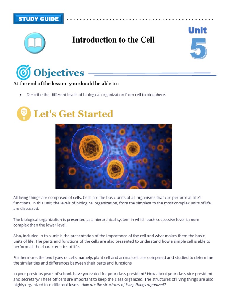 Science 7 Unit 5 Study Guide | PDF | Cell Nucleus | Cell (Biology)