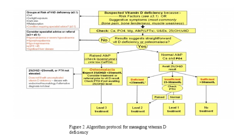 Figure 2. Algorithm Protocol For Managing Vitamin D Deficiency | PDF