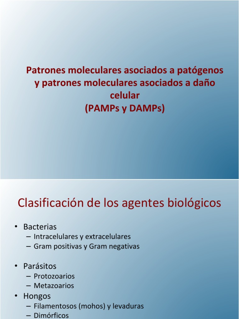 PAMPs y DAMPs: Activación Inflamatoria | PDF | Inflamación | Las bacterias