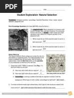 Peppered Moths Natural Selection Game | PDF