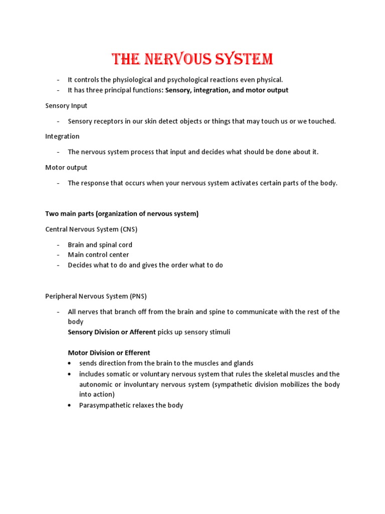 Lecture Note 1 (Nervous System and Diseases) | PDF | Nervous System ...