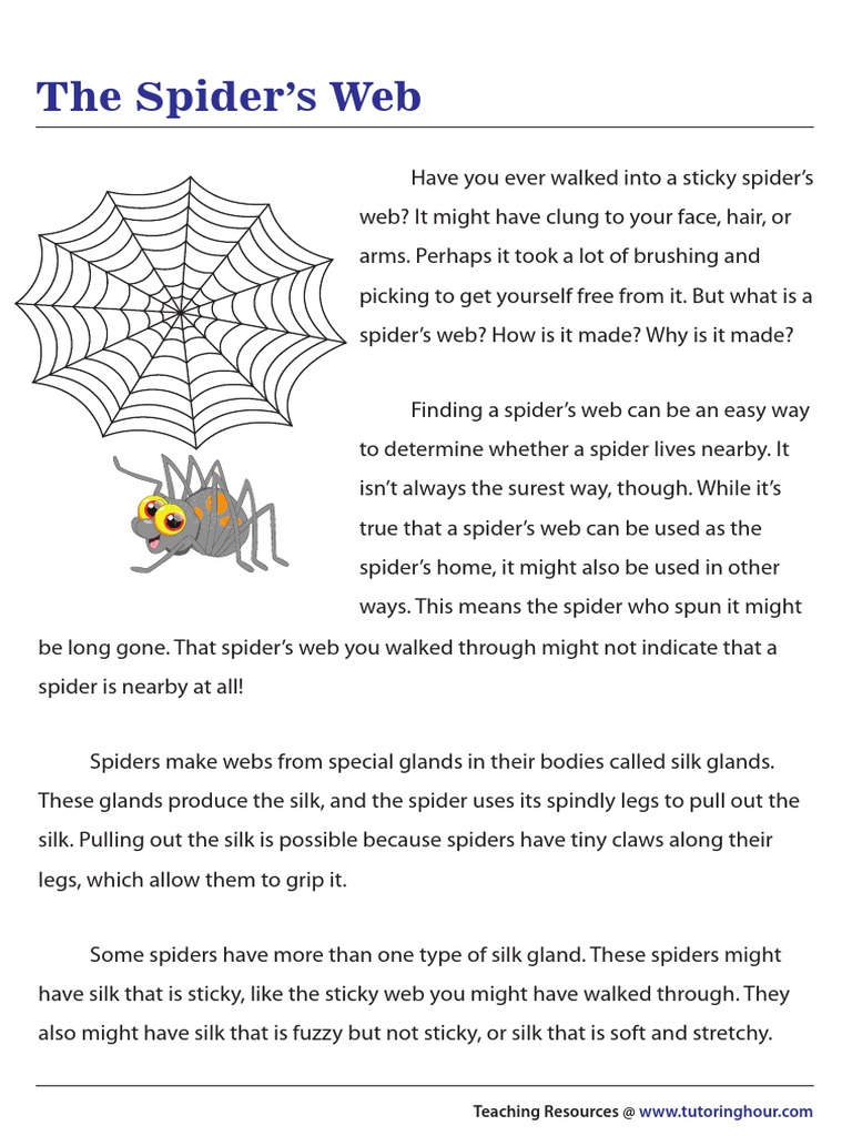 Reading Material - Spiders-Web | PDF | Spider | Spider Web