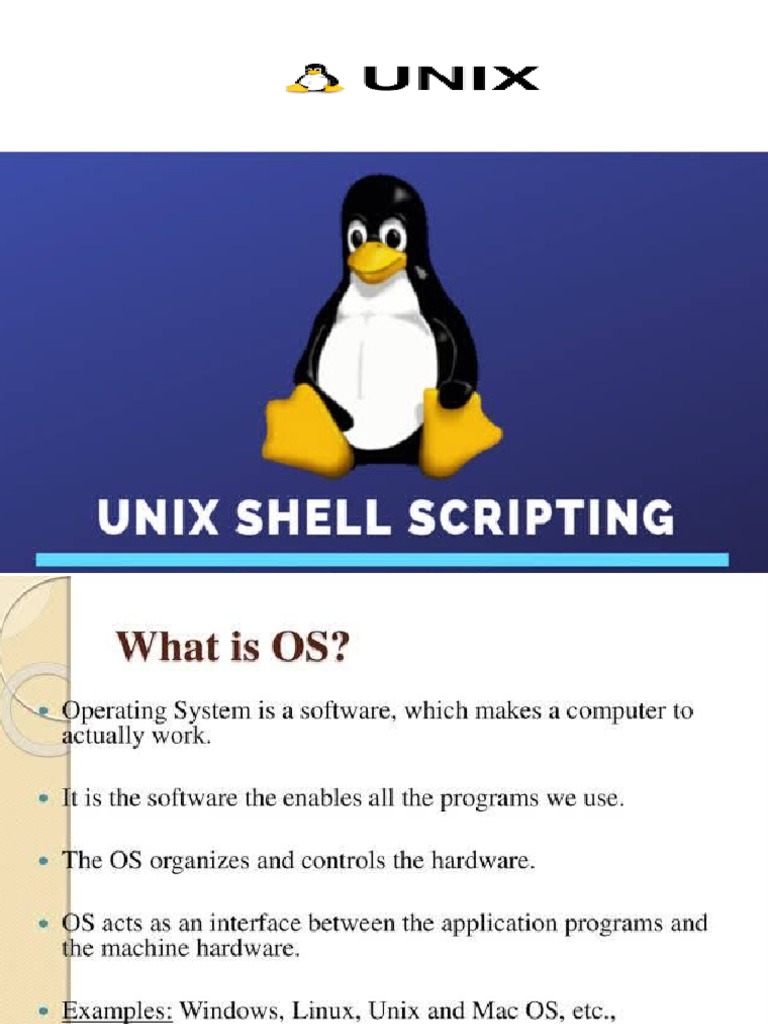 UNIX Shell Script | PDF | Shell (Computing) | Operating System