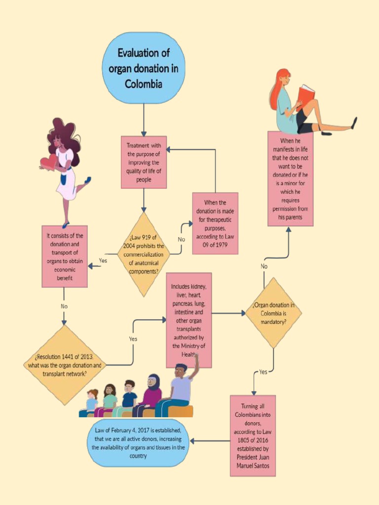 Organ Donation Flowchart | PDF