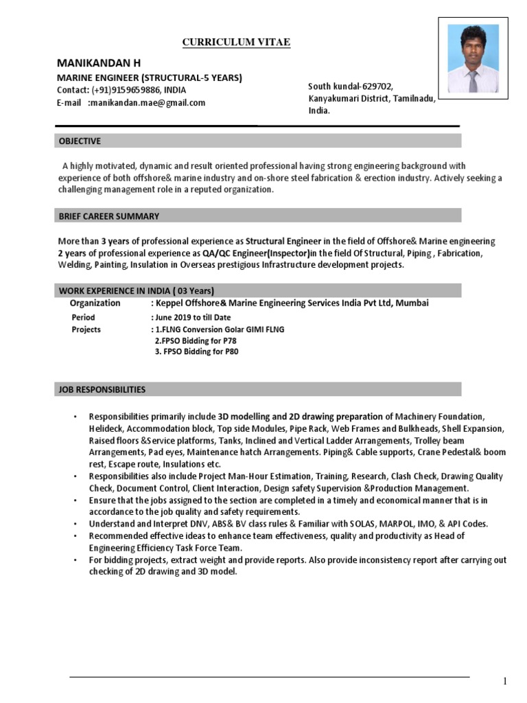 A Detailed Curriculum Vitae Highlighting Extensive Experience in ...