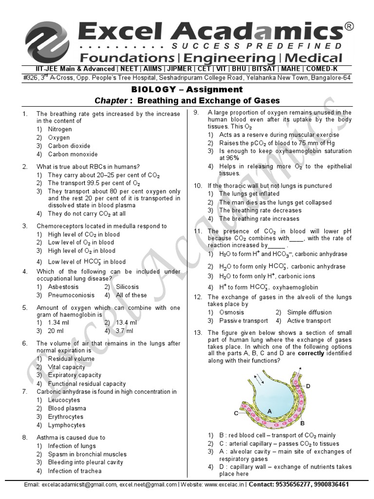 Chapter: Breathing and Exchange of Gases: BIOLOGY - Assignment | PDF ...
