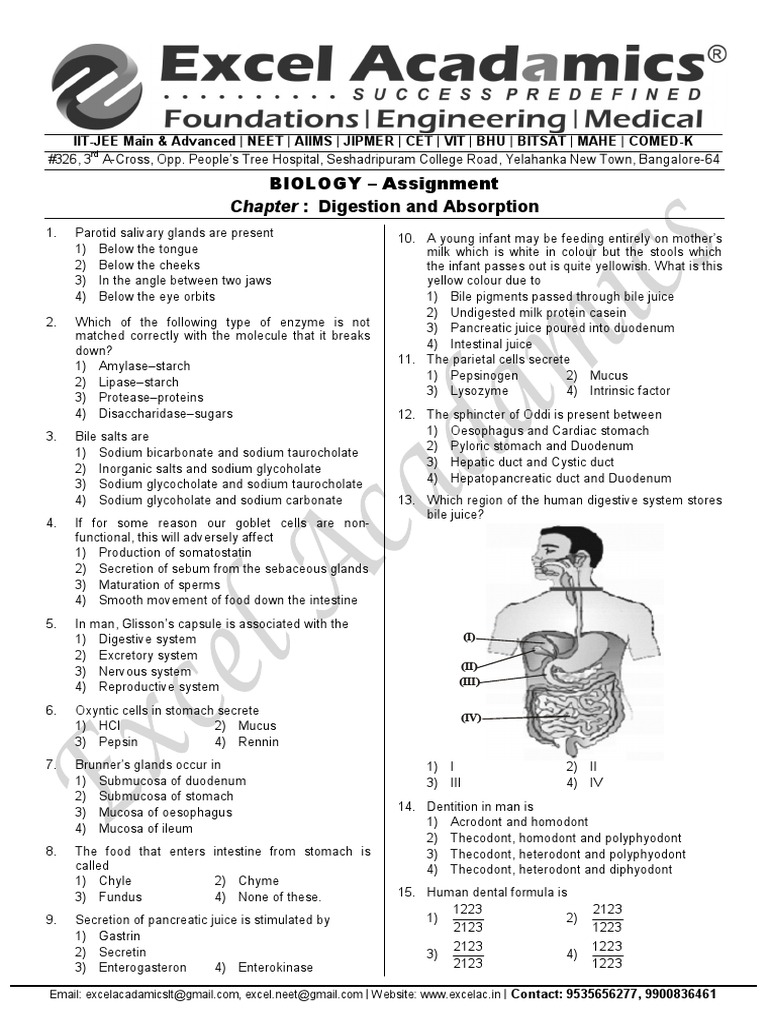 Chapter: Digestion and Absorption: BIOLOGY - Assignment | Download Free ...