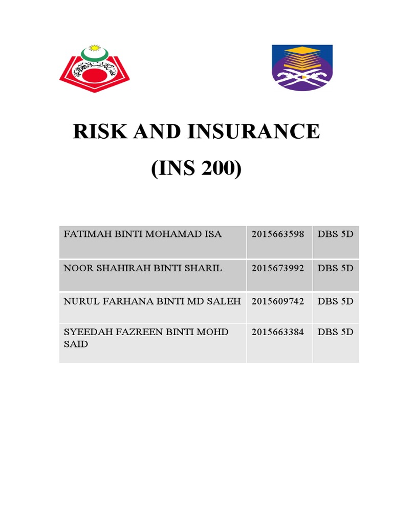 Ins200 - Full Assignment | PDF | Risk | Insurance