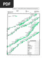 Panduan Lembar DDST untuk Anak | PDF