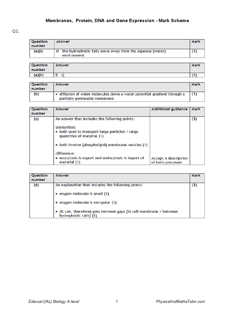 UNIT 1 Membranes, Proteins, DNA and Gene Expression MS | PDF | Science ...