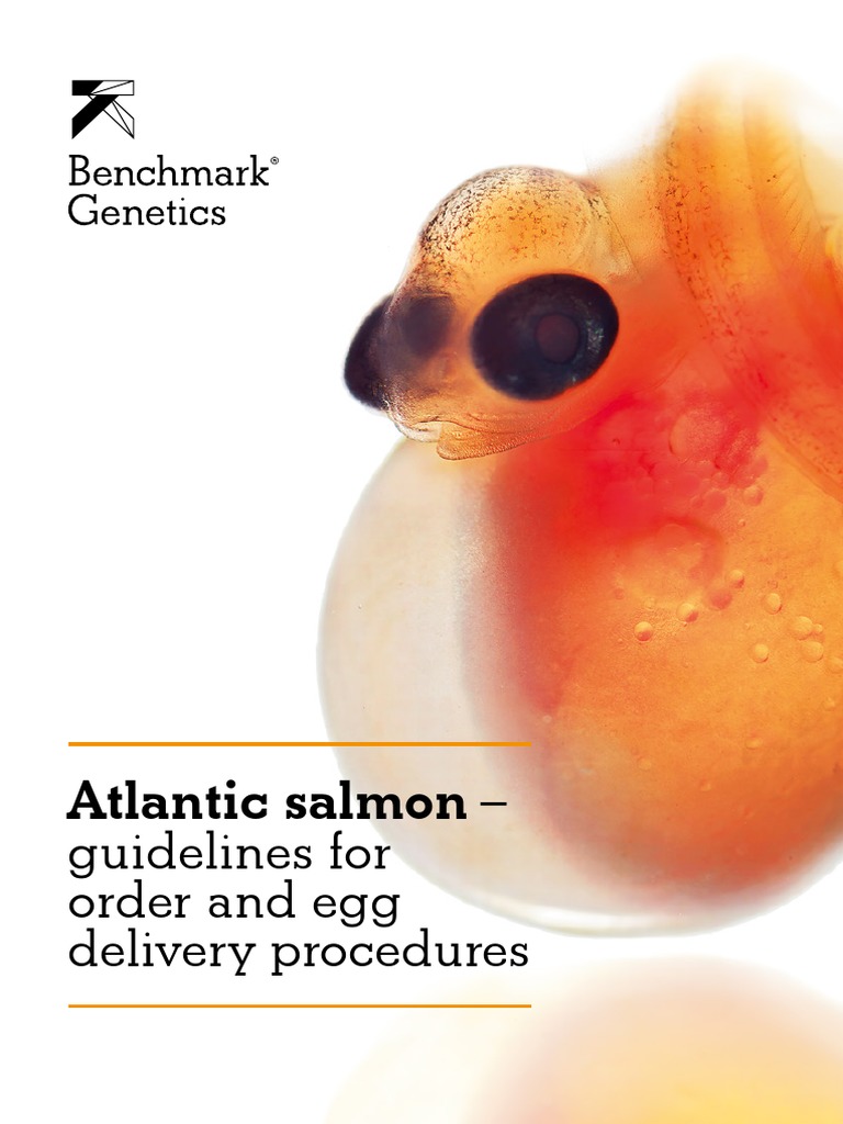 Atlantic Salmon - Guidelines For Order and Egg Delivery Procedures ...