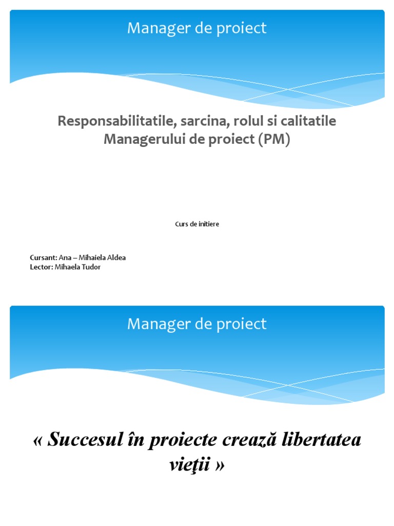Manager de Proiect - Rev.02 | PDF