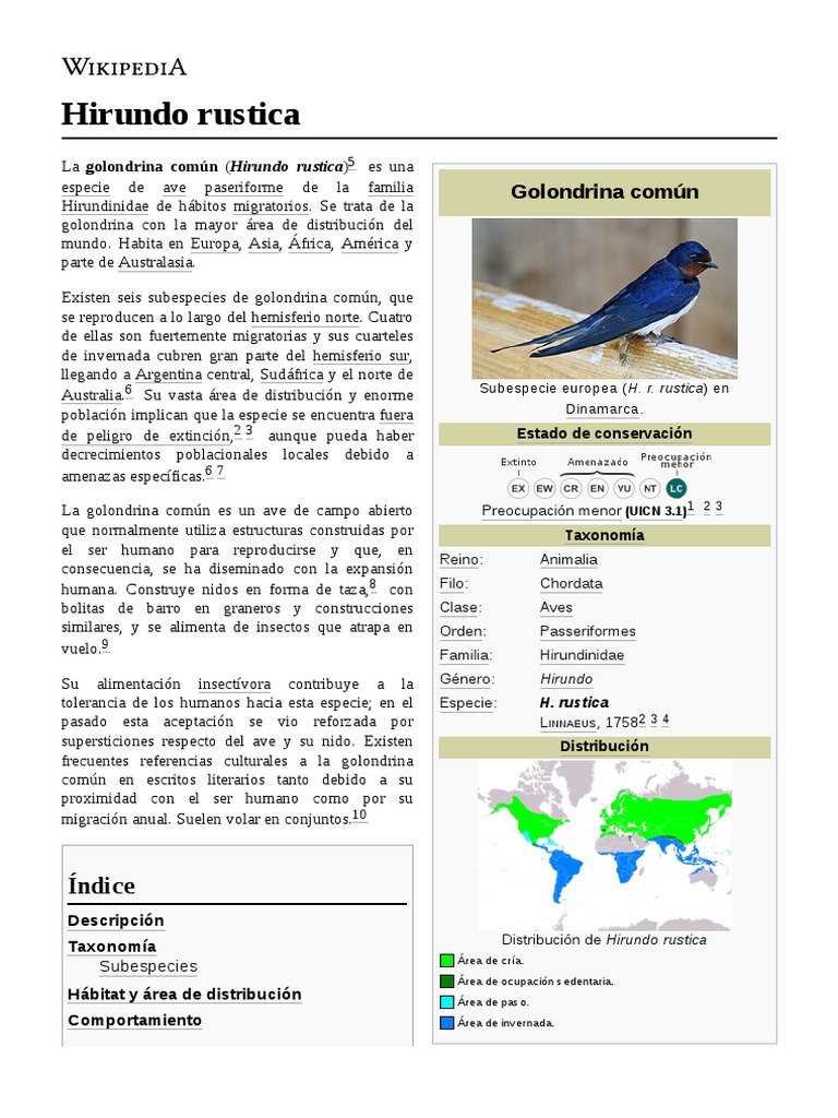 Hirundo Rustica | PDF | Aves | Ornitología