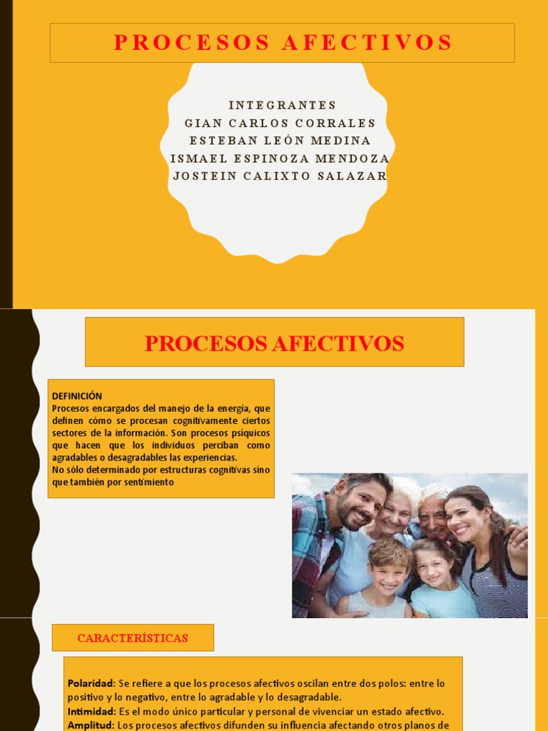 Procesos Afectivos | PDF | Las emociones | Ira