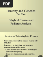 Pigeonetics Game Teacher Guide | PDF | Dominance (Genetics) | Allele