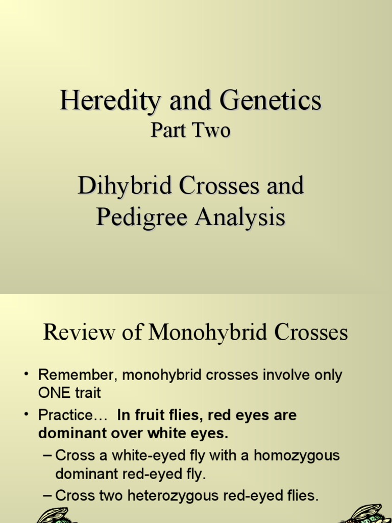 Dihybrid and Pedigree Analysis | PDF | Dominance (Genetics) | Zygosity