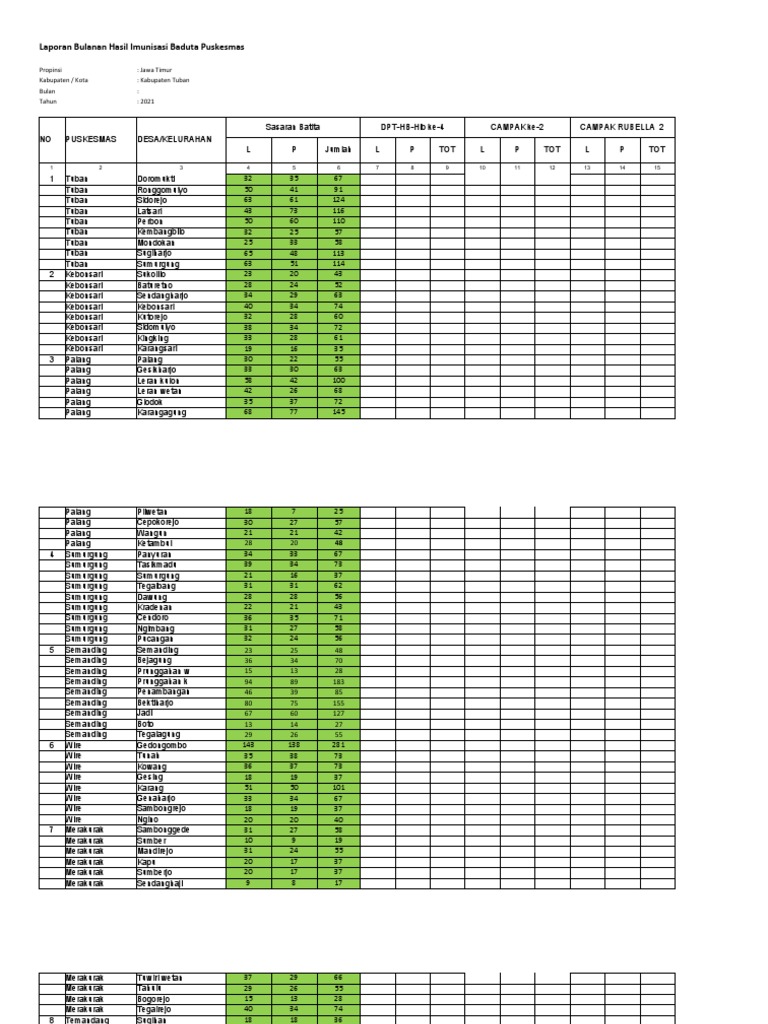 Baduta Format Laporan | PDF