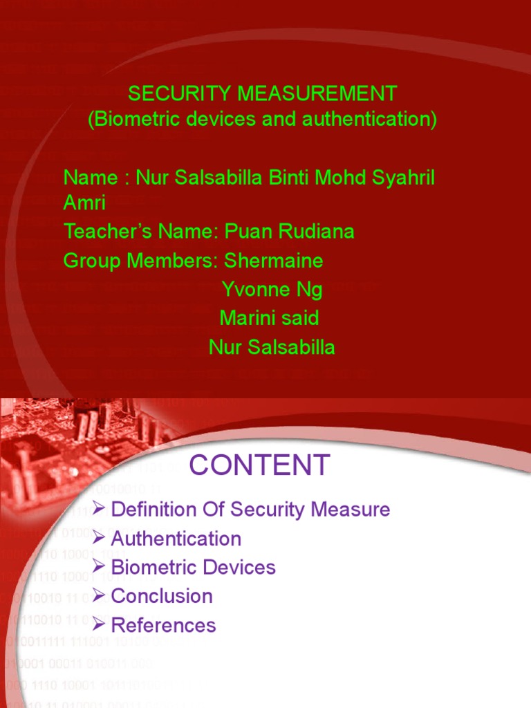 Exploring Biometric Authentication: An Analysis of Security Measures ...