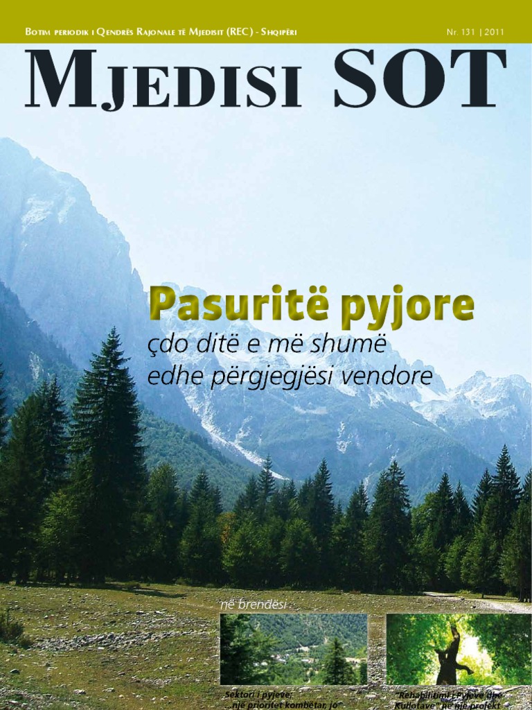 Shpyllëzimi Një Tragjedi Që S Duhet Të Përsëritet | PDF