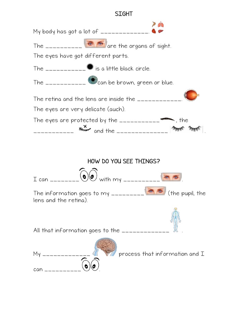 Unidad 1 Eyes (Lesson 2.1) | PDF | Computers