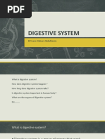 Digestive System Flow Chart | PDF | Digestion | Human Digestive System