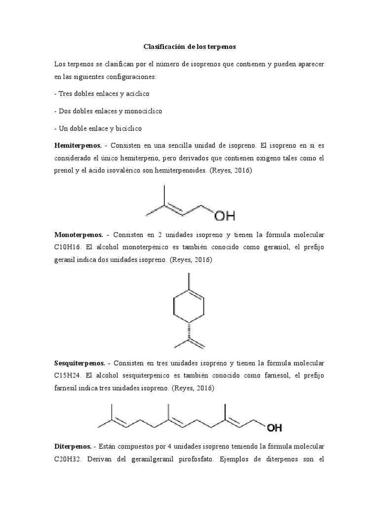 Clasificación De Los Terpenos Pdf Aceite Esencial Química