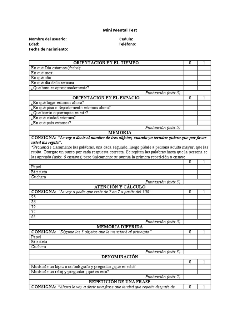 Formato Mini Mental Test | PDF