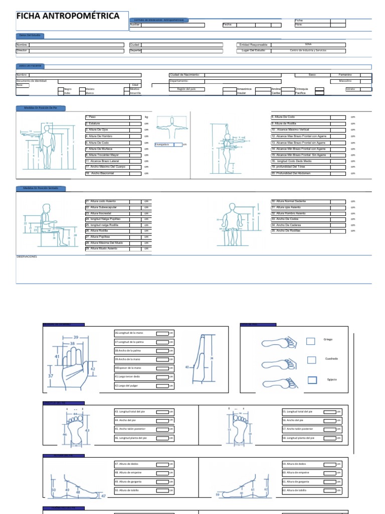 FICHA ANTROPOMETRICA Completa | PDF | Pie