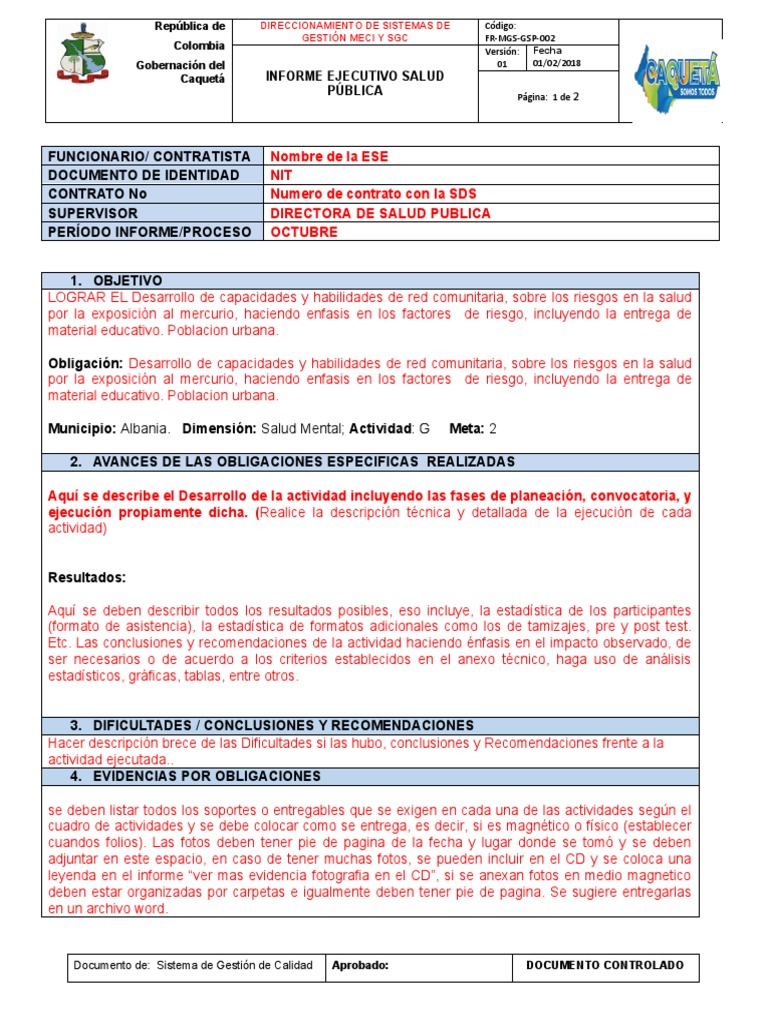 Formato Informe Ejecutivo Pic 2020 Modificado | PDF | Estadísticas ...