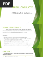 Modul Conditional-Optativ | PDF