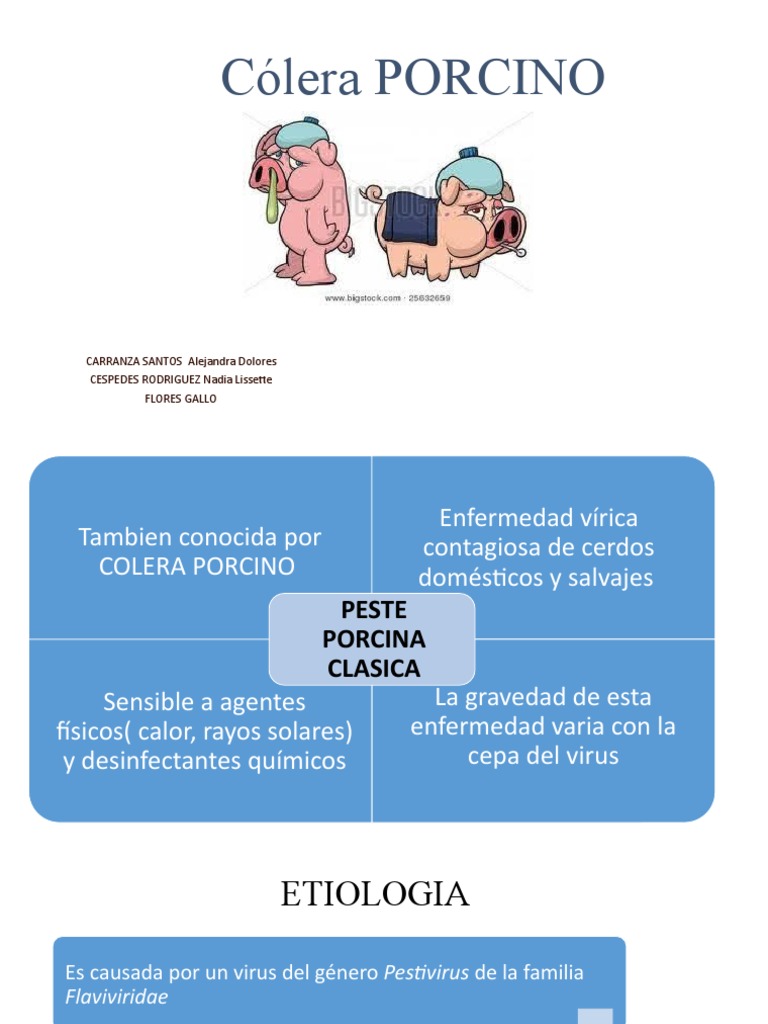 Cólera PORCINO 1 | PDF | Virus | Diarrea