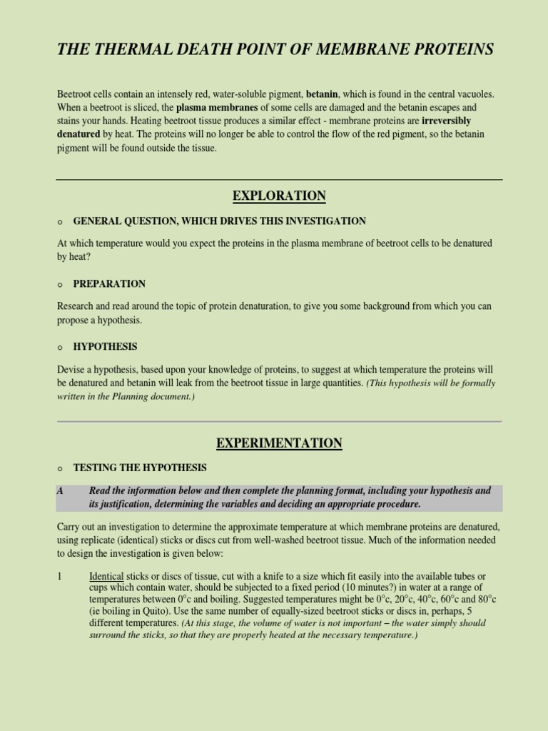 Beetroot Lab February 2022 | PDF | Temperature | Cell Membrane