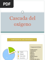 Zonas de West en la fisiología pulmonar | PDF | Hemodinámica | Pulmón