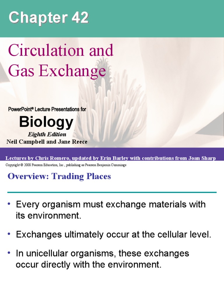 Circulation and Gas Exchange: Biology | PDF | Heart | Lymph
