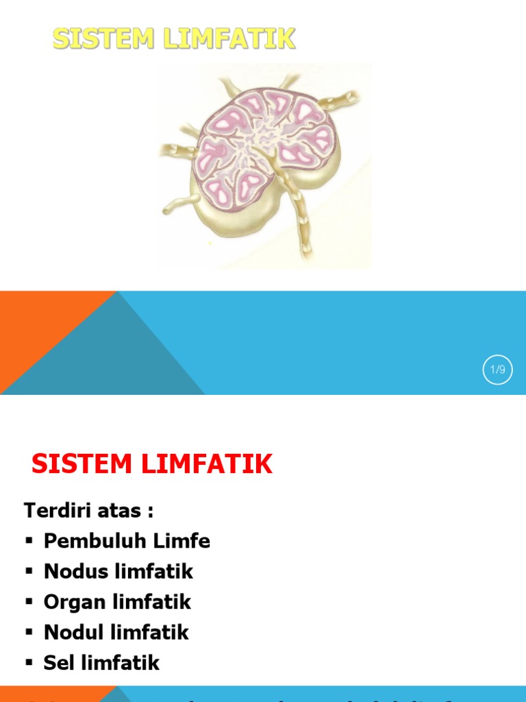 Sistem Limfatik | PDF