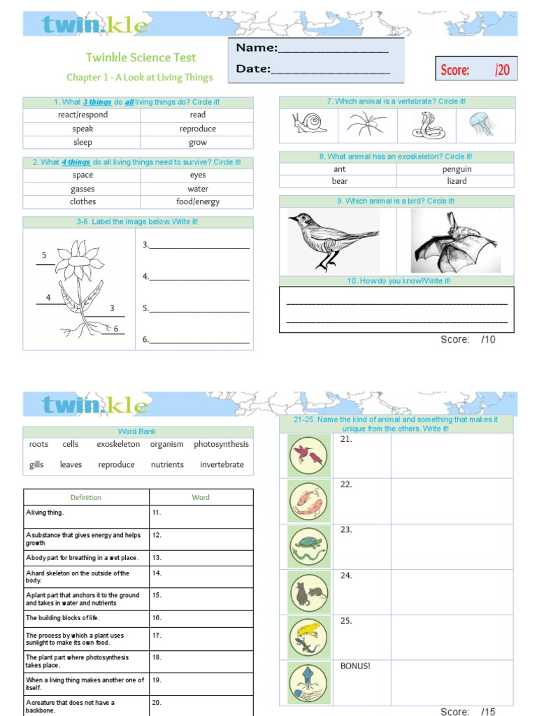 Grade 2 Science Test Chapter 1 | PDF | Life | Plants