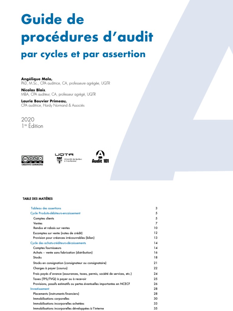 Guide de Procédures D'audit Par Cycle Et Par Assertion PDF | PDF | Facture | Banques