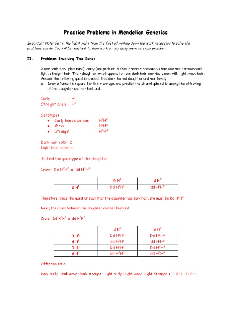 Genetics Practice Problems - Dihybrid - Answer Key | PDF | Dominance ...