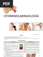 Historia Clínica ORL | PDF | Tinnitus | Alergia