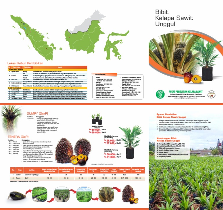 PEDOMAN PEMBELIAN BIBIT KELAPA SAWIT UNGGUL | PDF