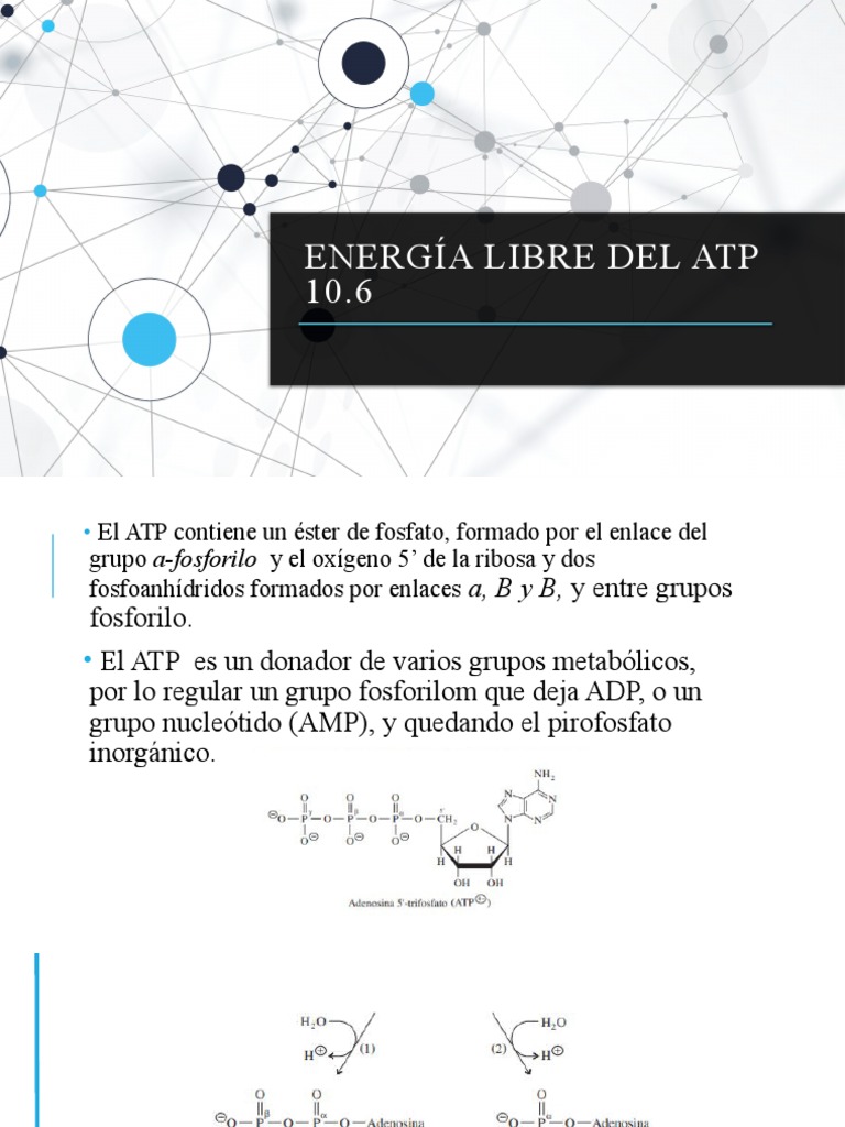 Energía Libre y Funciones del ATP | PDF | Trifosfato de adenosina ...
