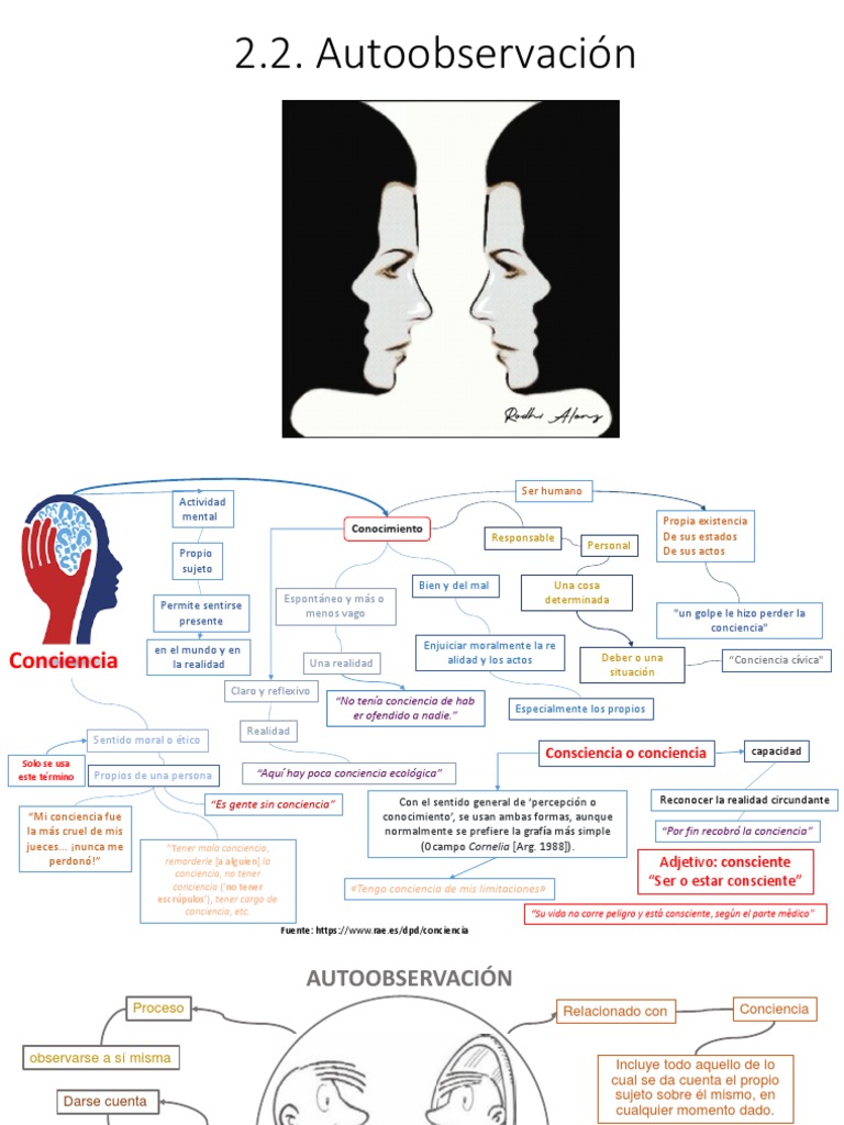 Autoobservacion Directa | PDF | Metafísica de la mente | Evaluación ...