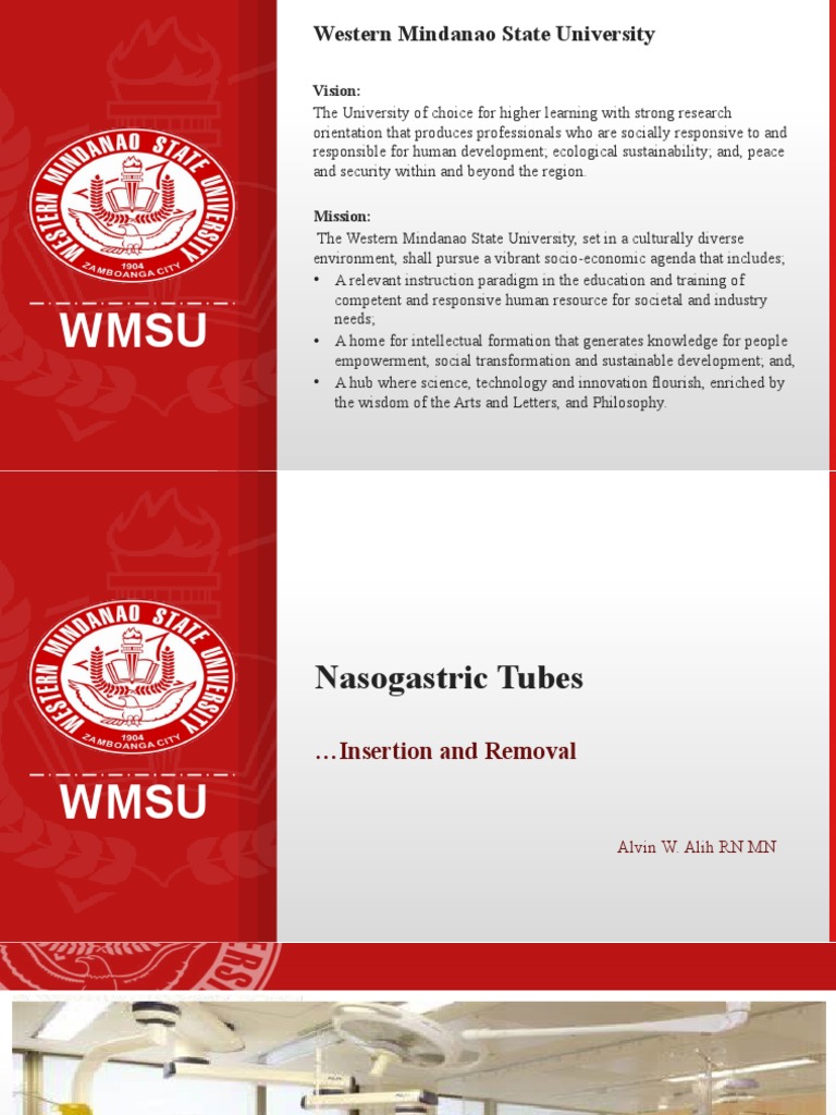Western Mindanao State University: Vision | Download Free PDF | Health ...